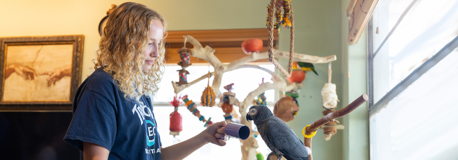 Minor - Animal Studies | Eckerd College