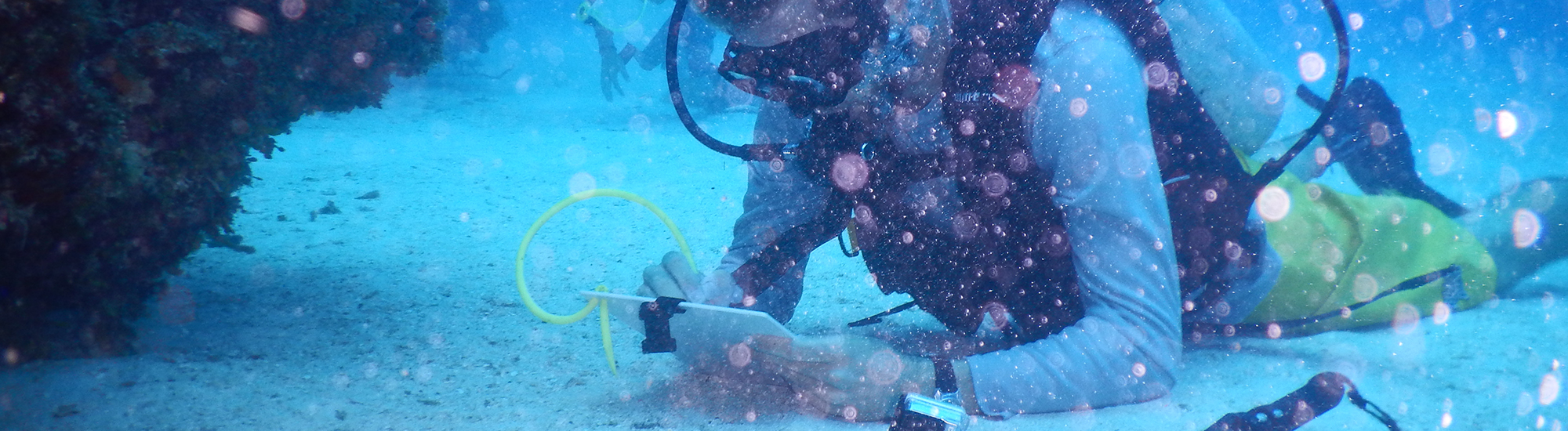 Faculty - Marine Science | Eckerd College