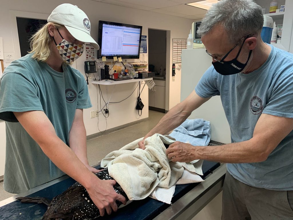 Eckerd College senior’s service, research and academics have gone to ...