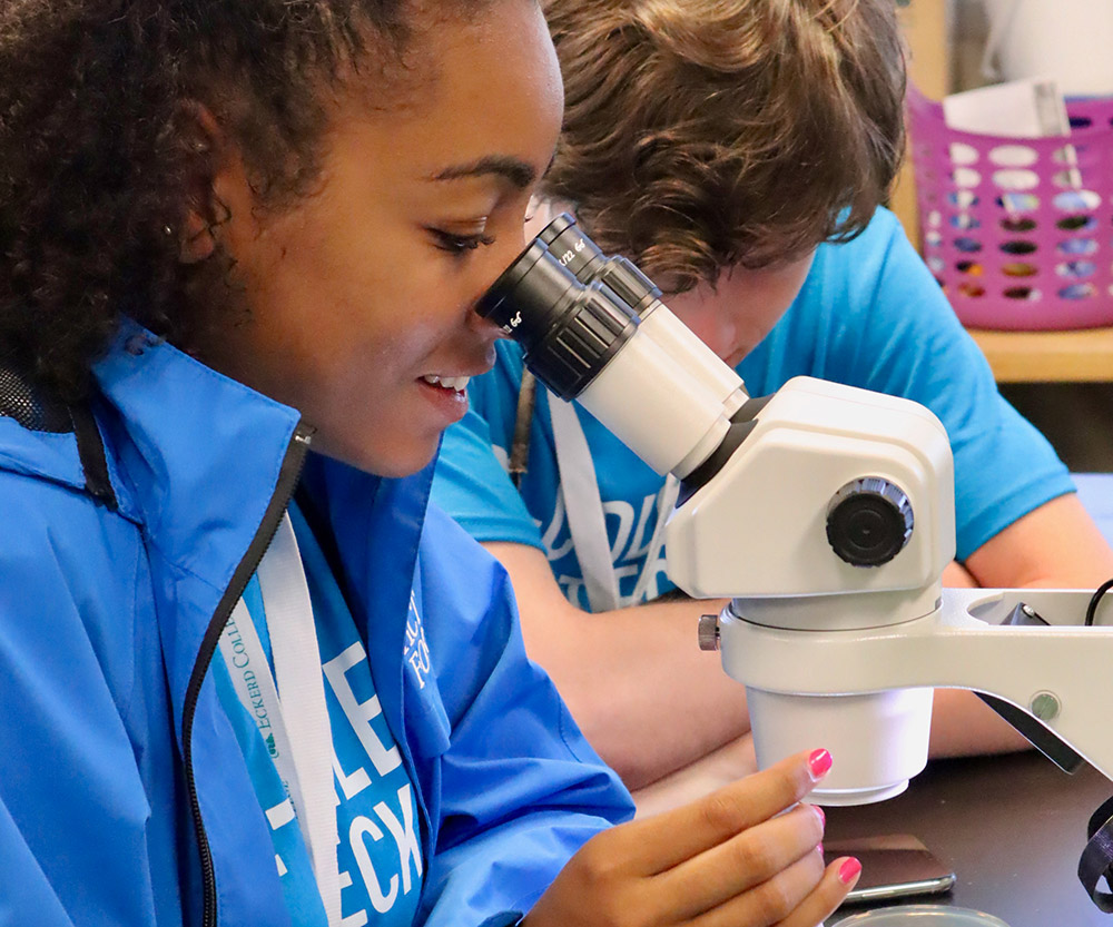 Newsroom | Eckerd College, Florida
