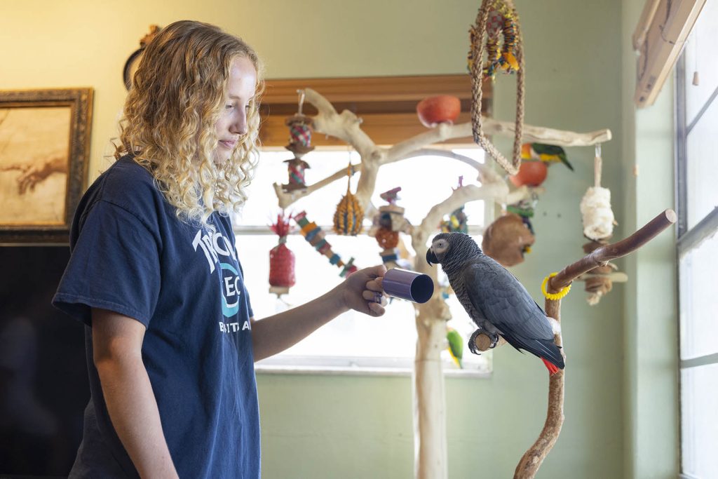 Six Eckerd College students join research project on TikTok-famous ...