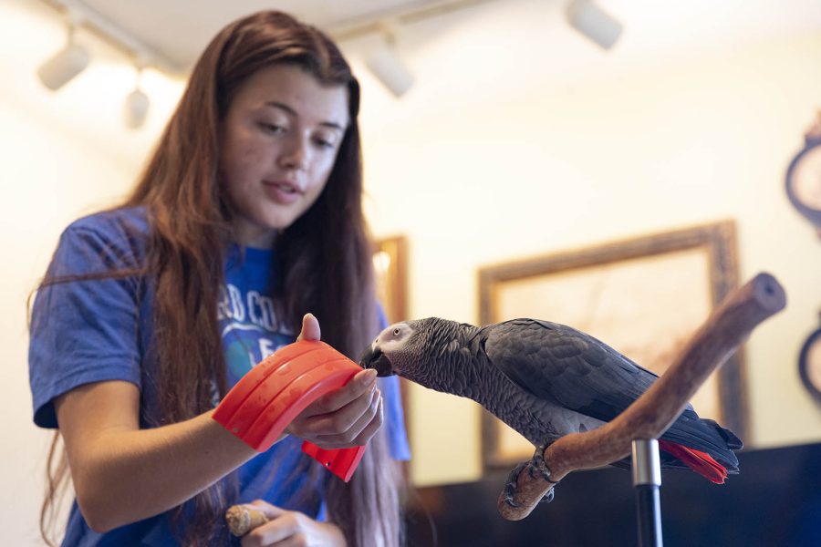 Six Eckerd College students join research project on TikTok-famous ...