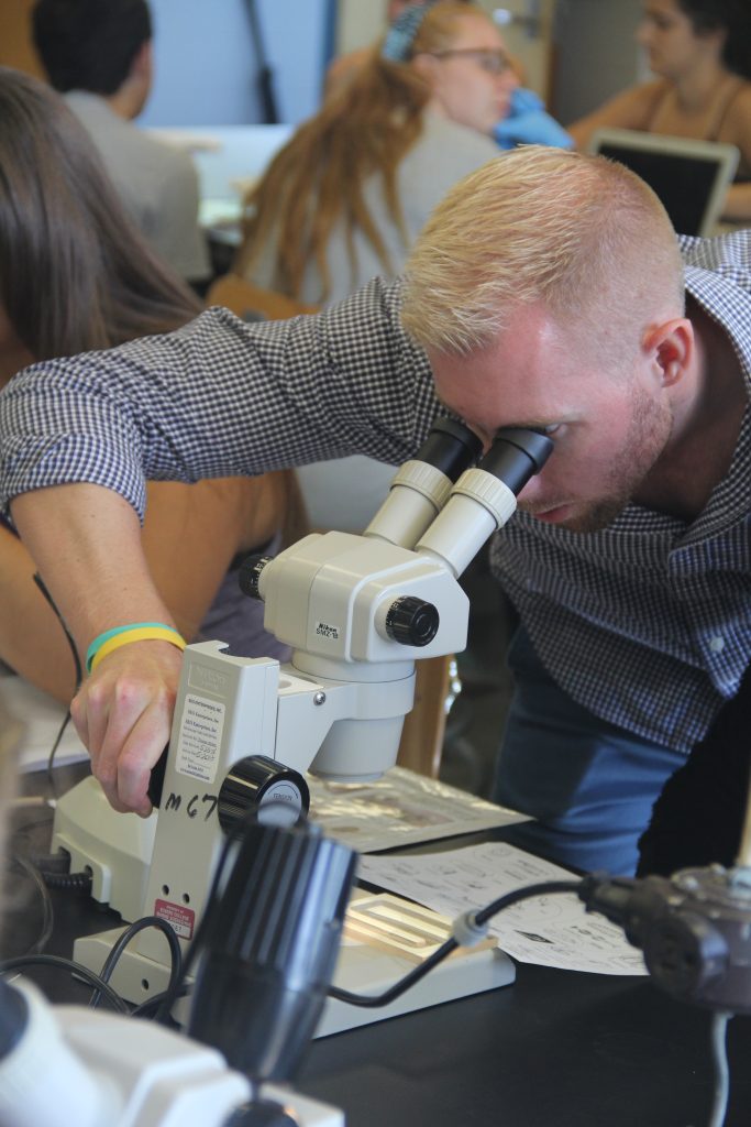 Marine science professor concludes work on NOAA-funded coral study ...