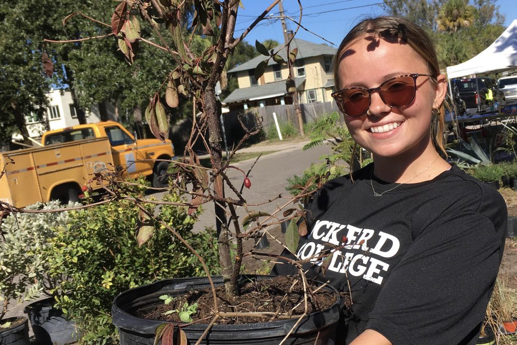 Eckerd College Community Farm prepares grads for urban agriculture work ...