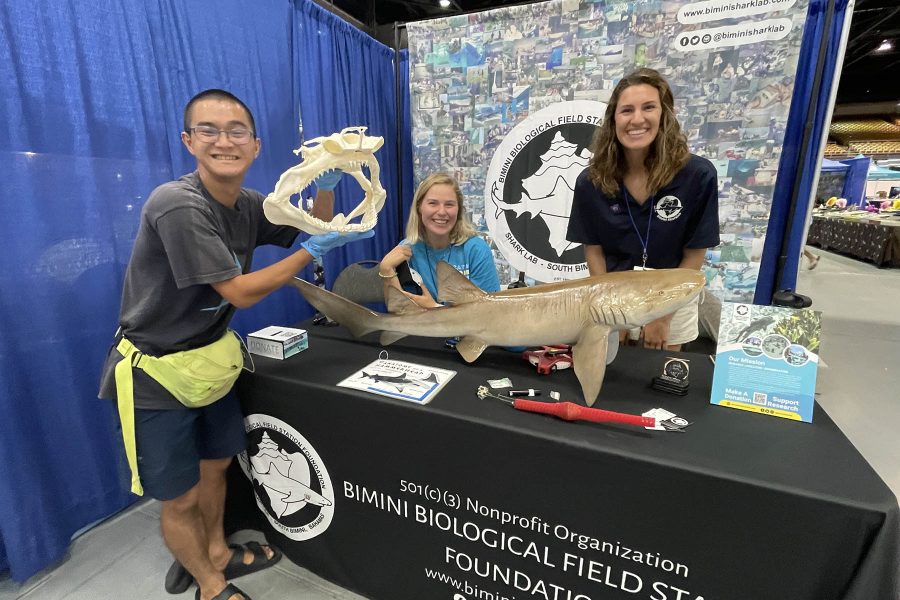 Eckerd College sophomore donates shark skulls to Bimini research lab ...