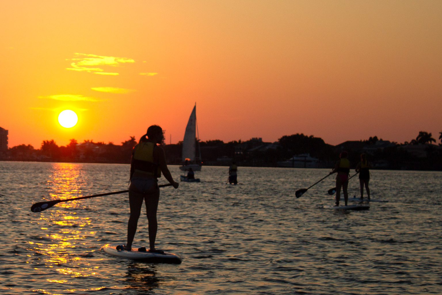Waterfront Program invites campus community to Glow-n-Row - News ...
