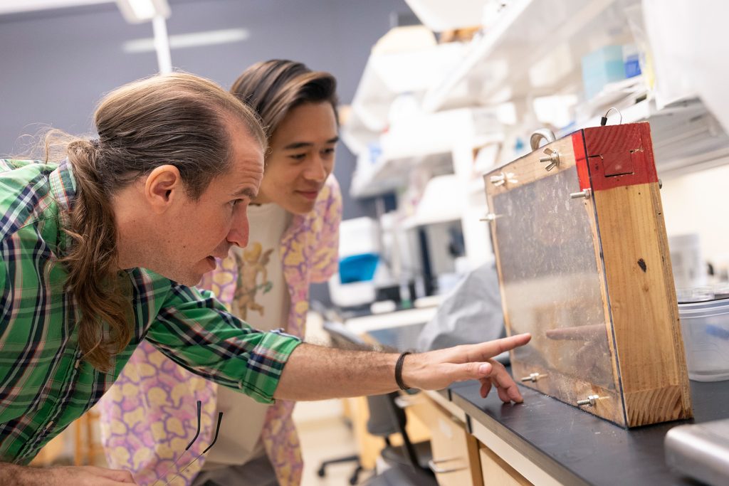 College professor works with students in Honey Bee Neurobiology Lab ...