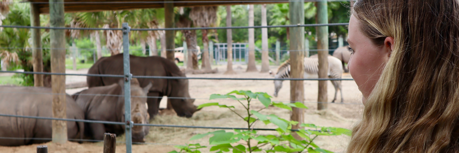 Animal Studies - Pre-College Programs | Eckerd College