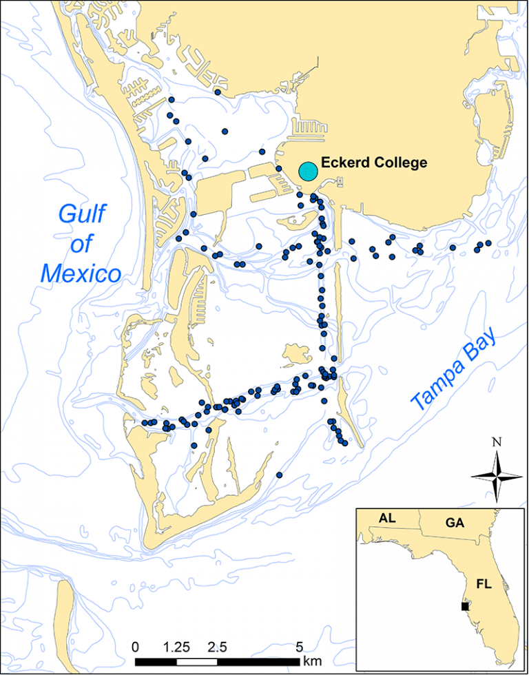 Eckerd College Dolphin Project - Eckerd College